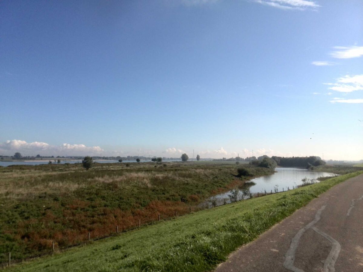 Theekoepeltje Druten – Brigitte Picavet